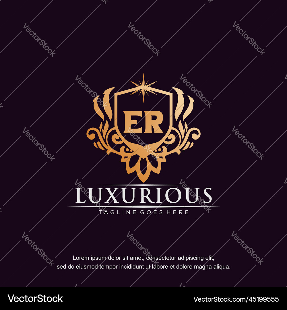 Er initial letter luxury ornament gold monogram Vector Image
