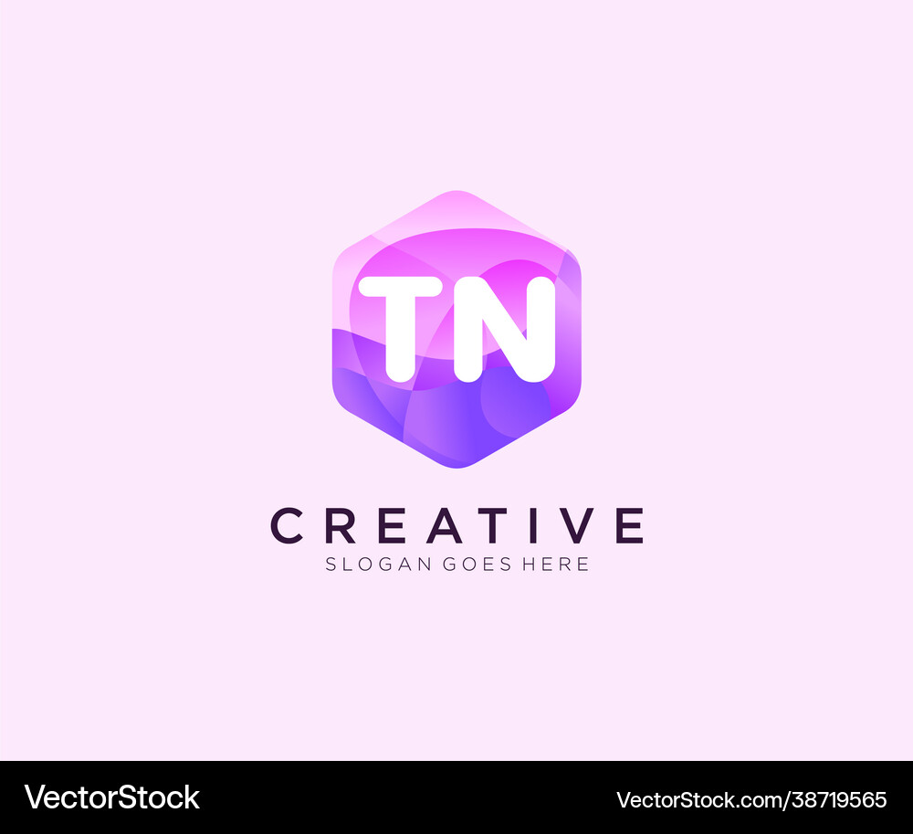 Tn initial logo with colorful hexagon modern Vector Image