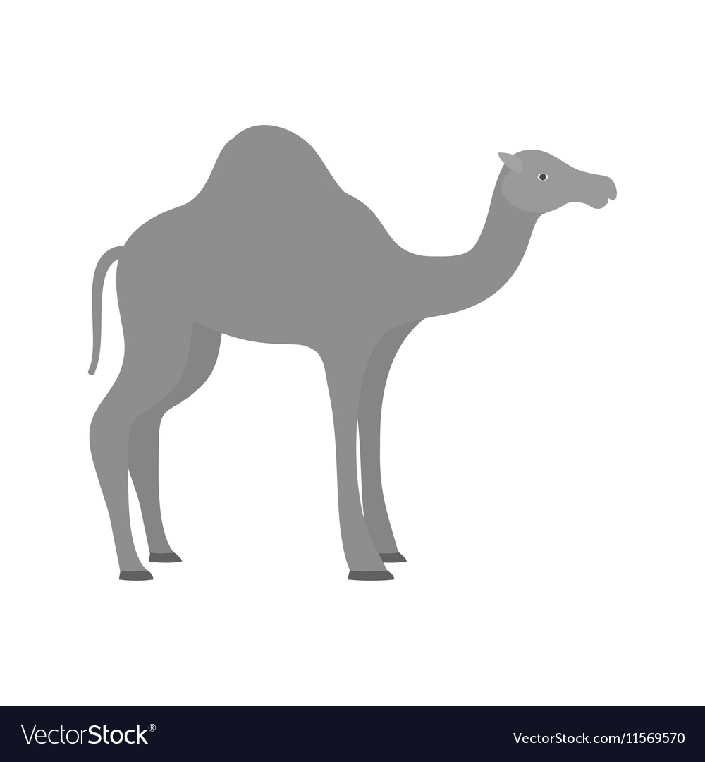 Camel Royalty Free Vector Image - VectorStock