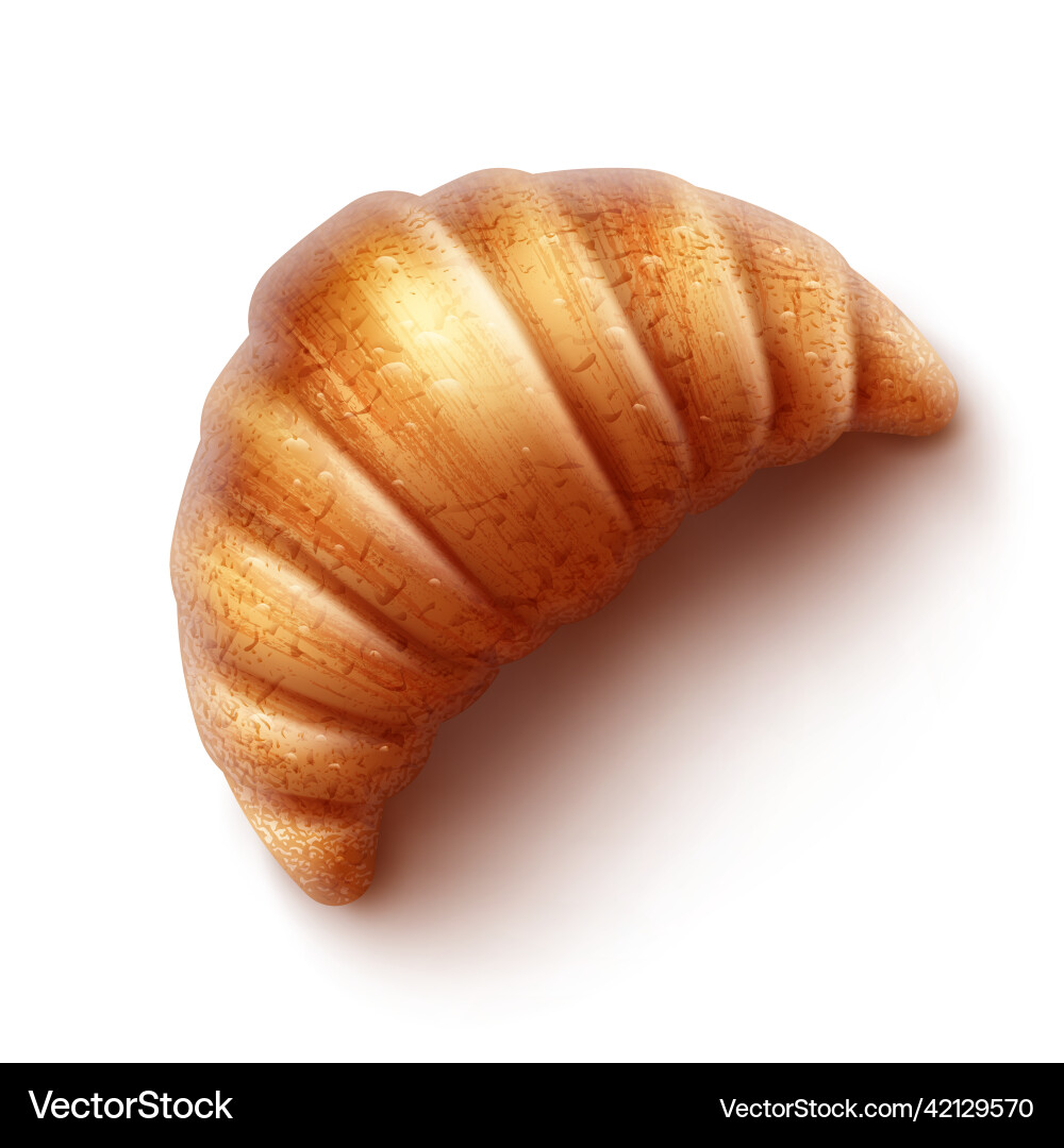 Fresh french croissant Royalty Free Vector Image