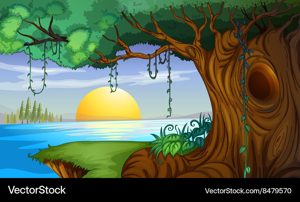 Scene with sunset at the lake Royalty Free Vector Image