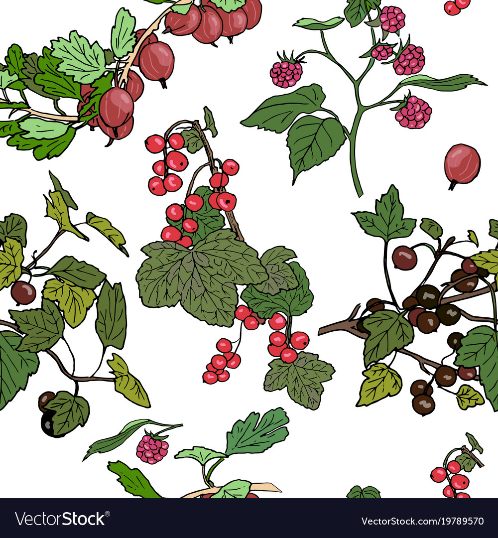 Seamless pattern different berries Royalty Free Vector Image
