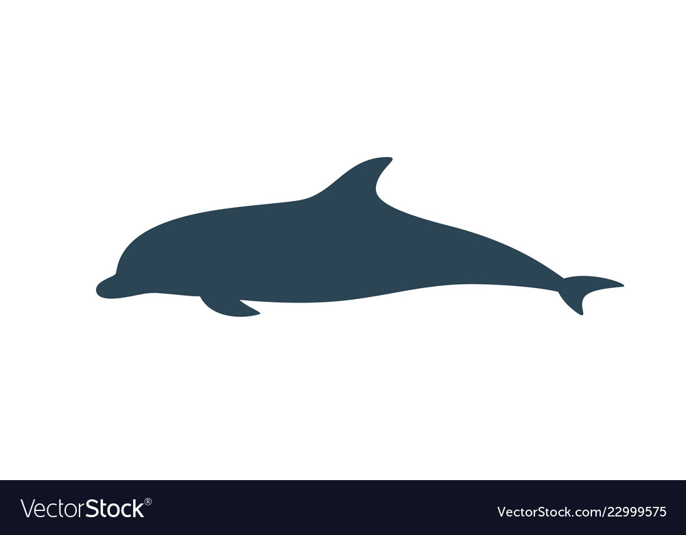 Dolphin Royalty Free Vector Image - VectorStock