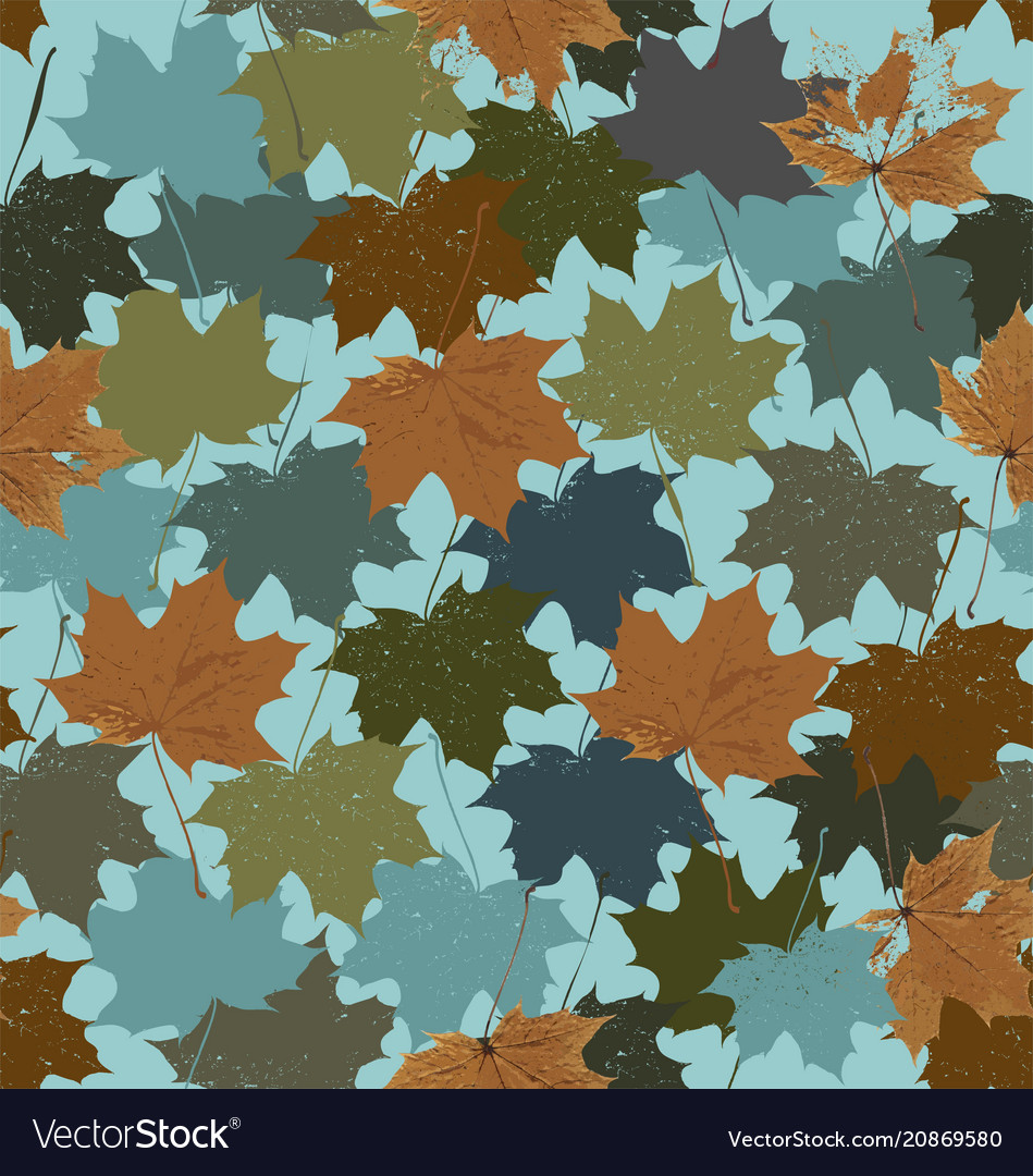 Autumn maple leaves Royalty Free Vector Image - VectorStock