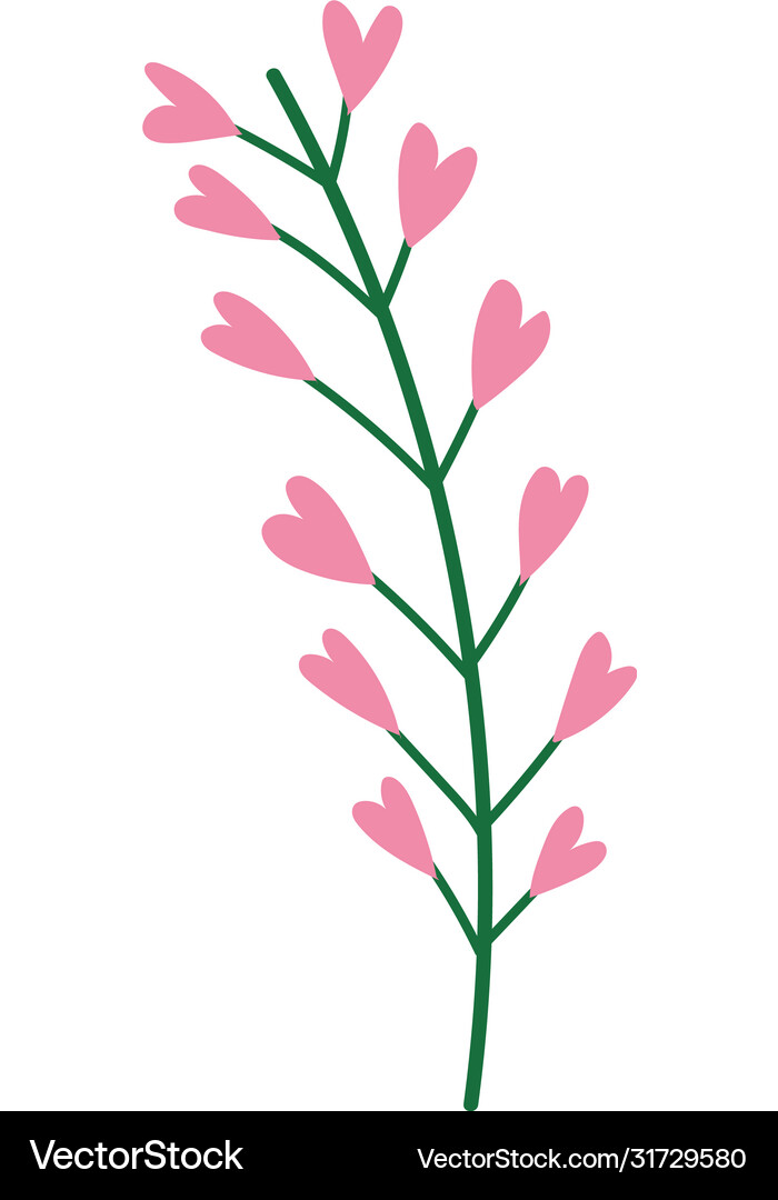 Branch flowers foliage nature botancial isolated Vector Image