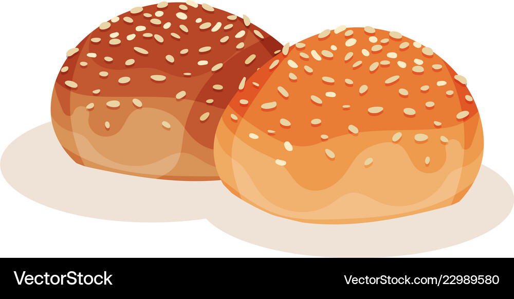 Bun with swsame seeds bakery pastry product Vector Image