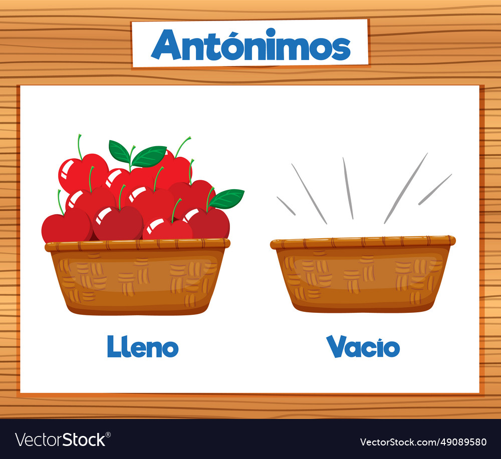 Educational antonyms spanish picture word card Vector Image