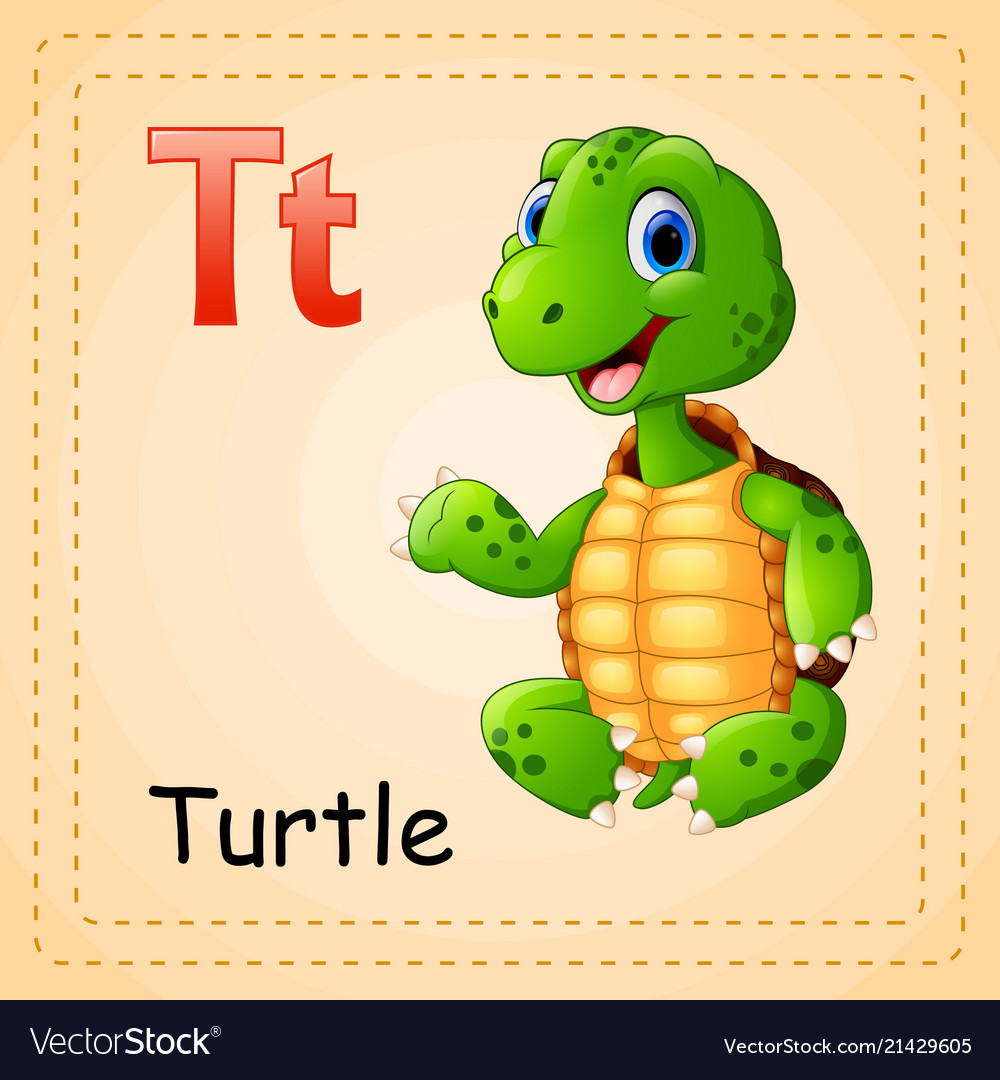 Animals alphabet t is for turtle Royalty Free Vector Image