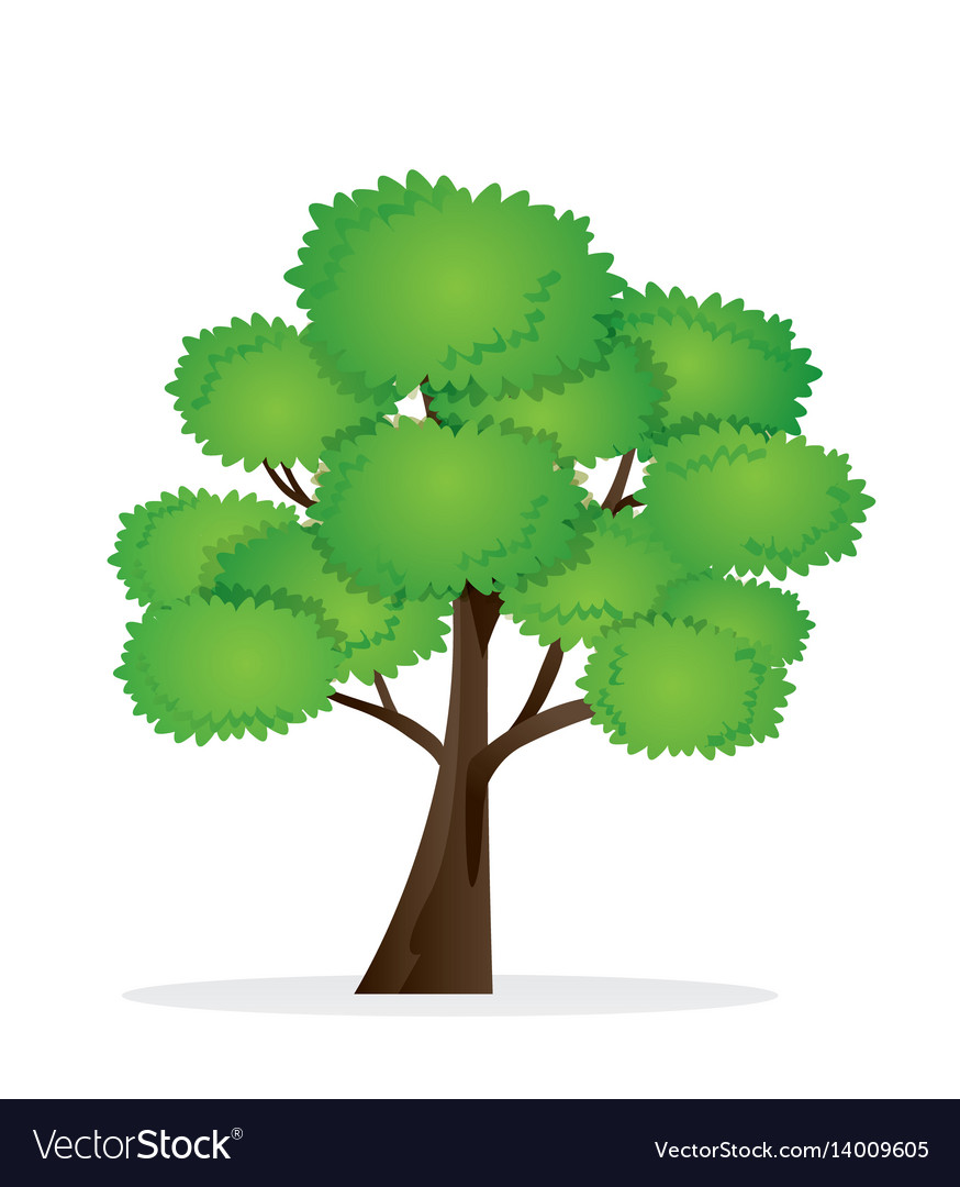 Tree graphic Royalty Free Vector Image - VectorStock