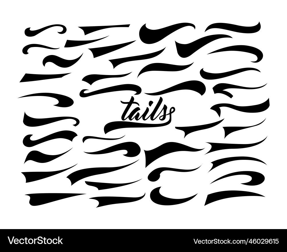 Calligraphic swoosh tail set underline marker Vector Image