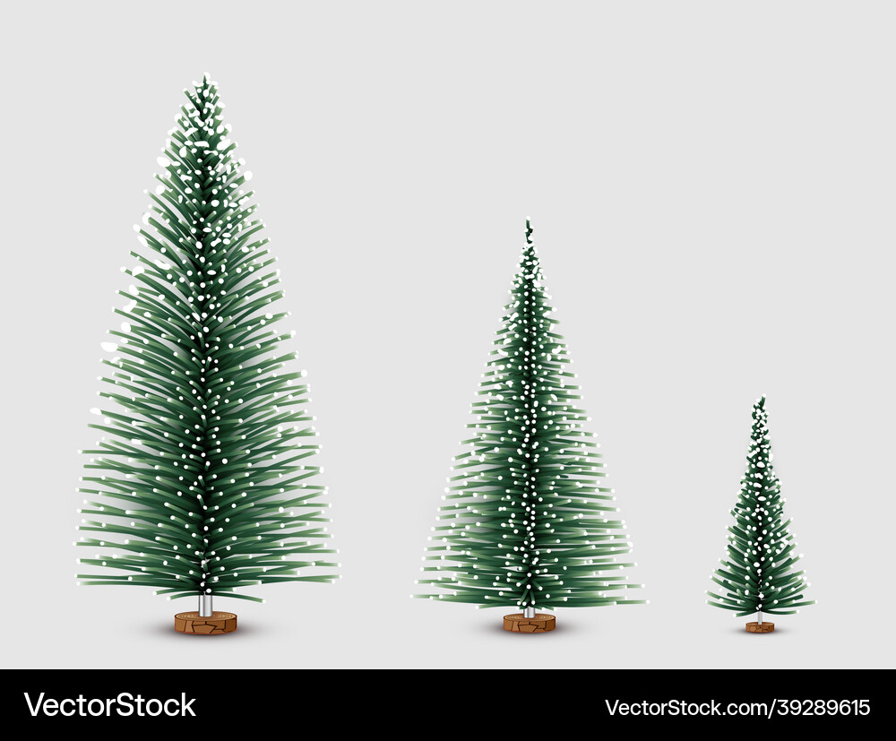 Set of spruce trees with separated needles Vector Image