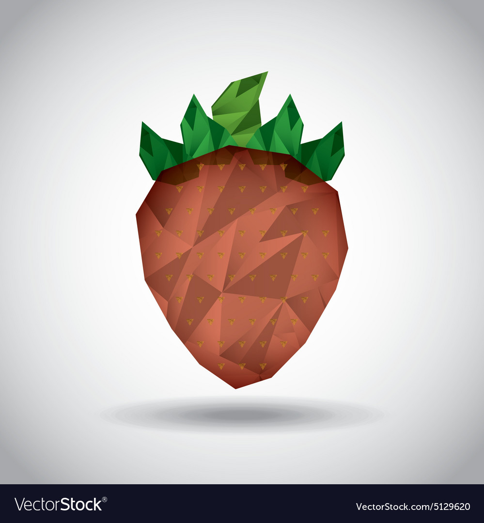 Abstract fruit Royalty Free Vector Image - VectorStock