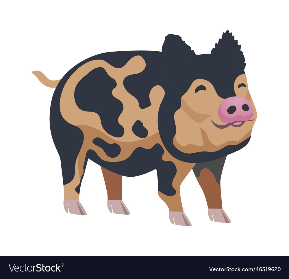 Flat pig Royalty Free Vector Image - VectorStock