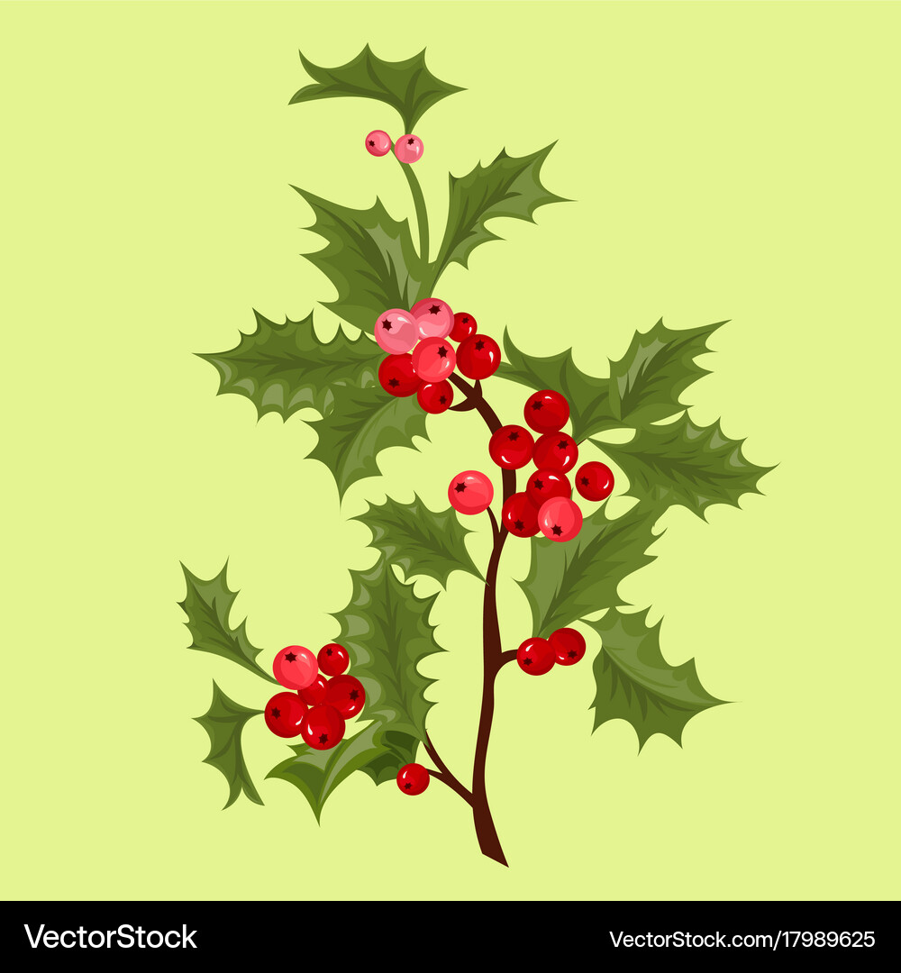 Christmas decorative leaves holly and branches Vector Image