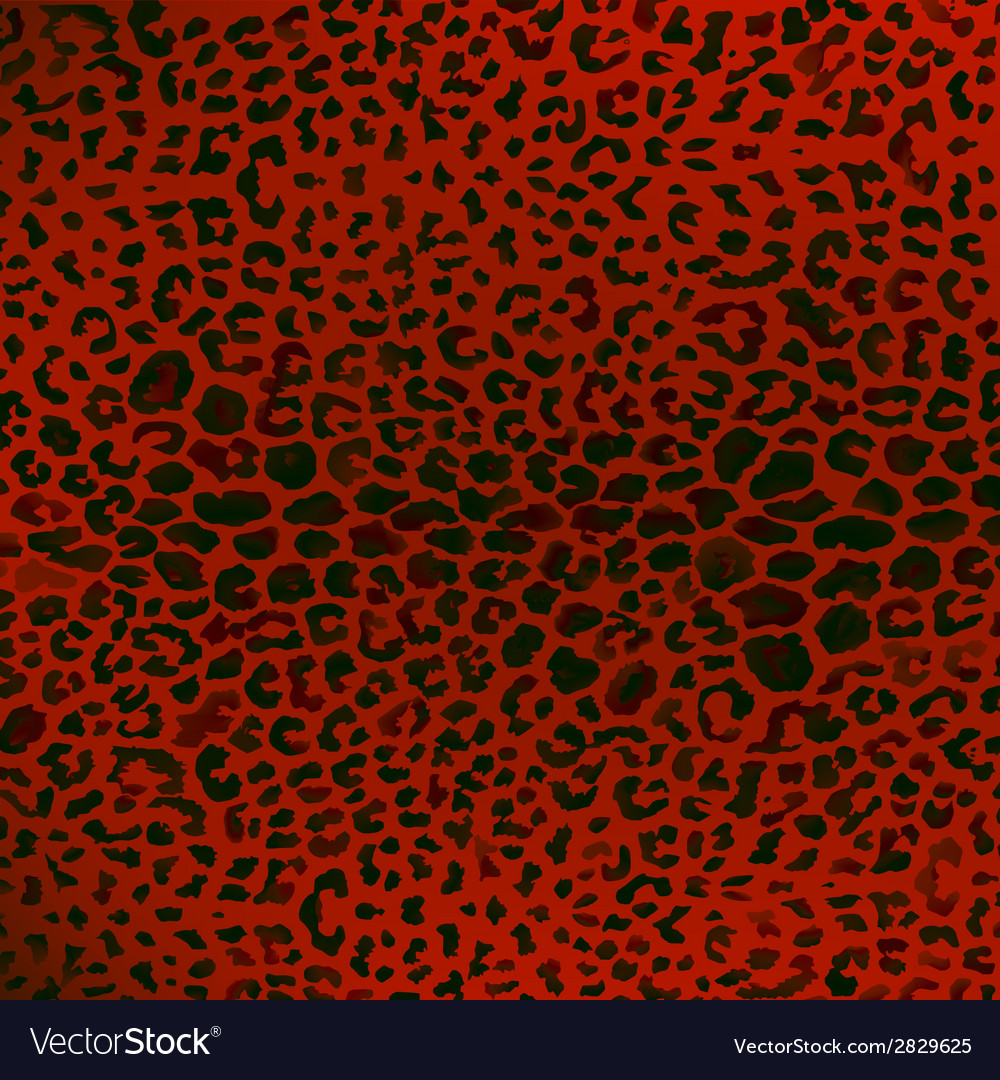 Leopard skin texture Royalty Free Vector Image