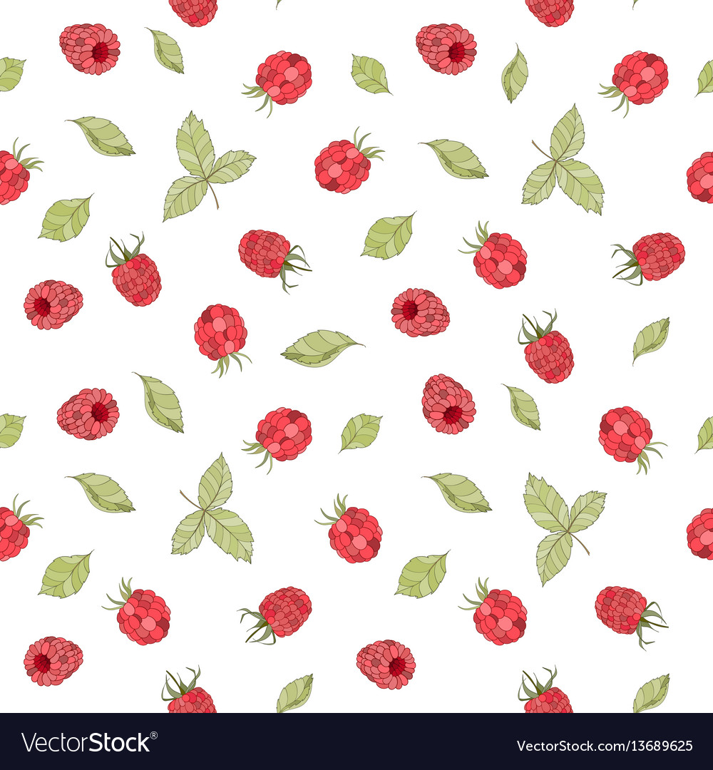 Seamless raspberry pattern Royalty Free Vector Image