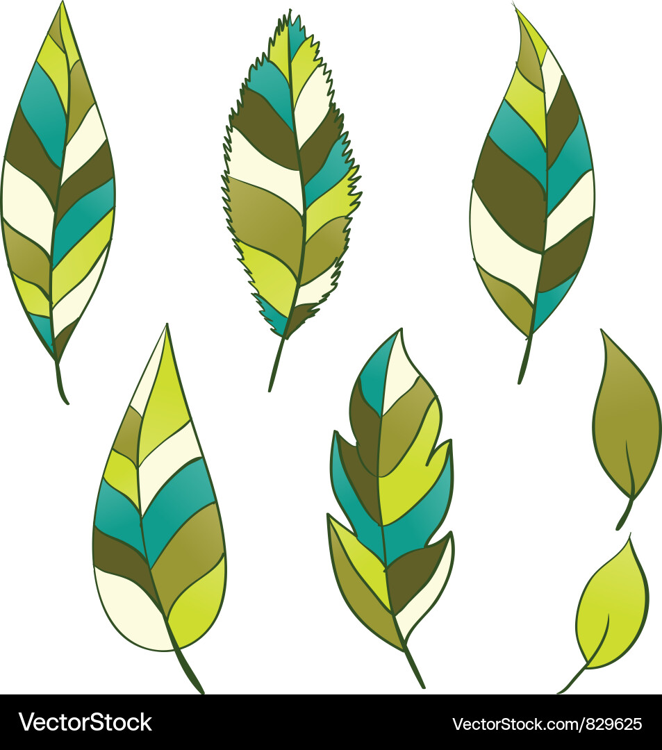Set of hand-drawn leaves Royalty Free Vector Image