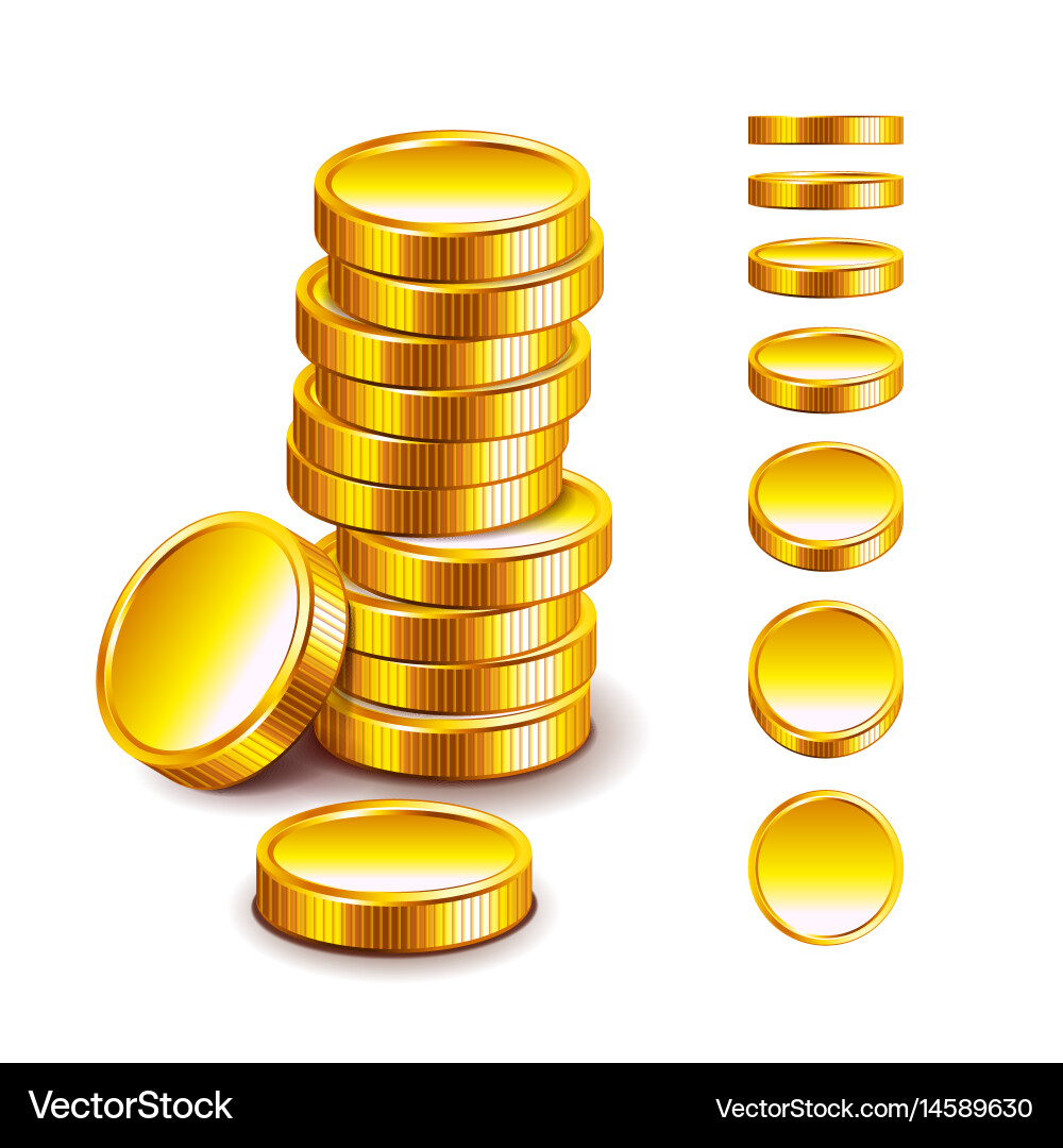 Golden coin isolated on white Royalty Free Vector Image