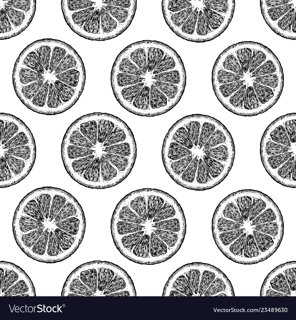 Pattern with citrus Royalty Free Vector Image - VectorStock