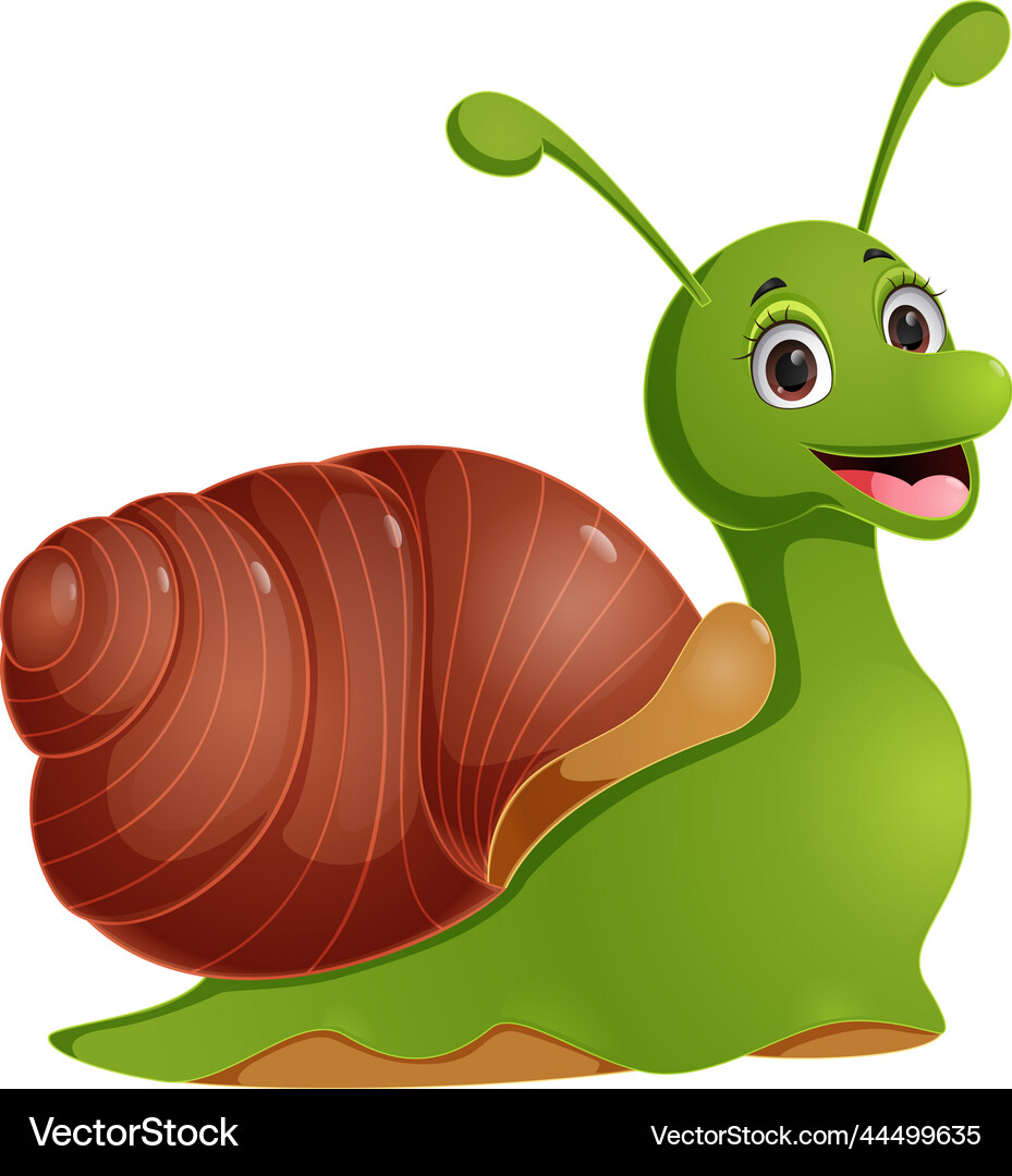 Cute snail cartoon on white background Royalty Free Vector