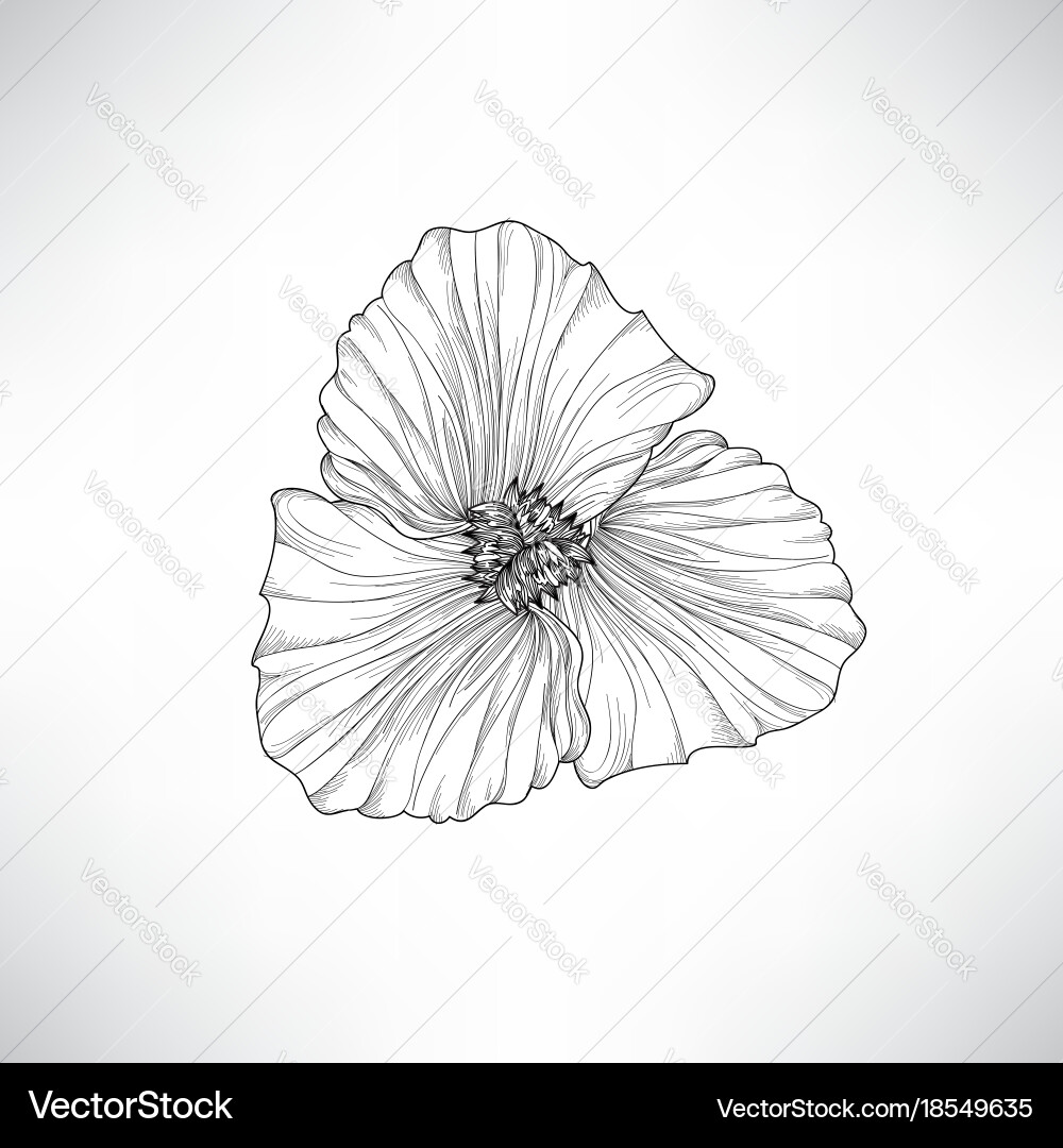 Flower isolated floral engraving set Royalty Free Vector