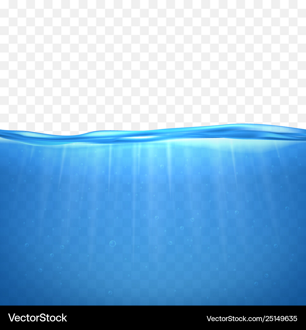 Realistic 3d detailed transparent underwater Vector Image
