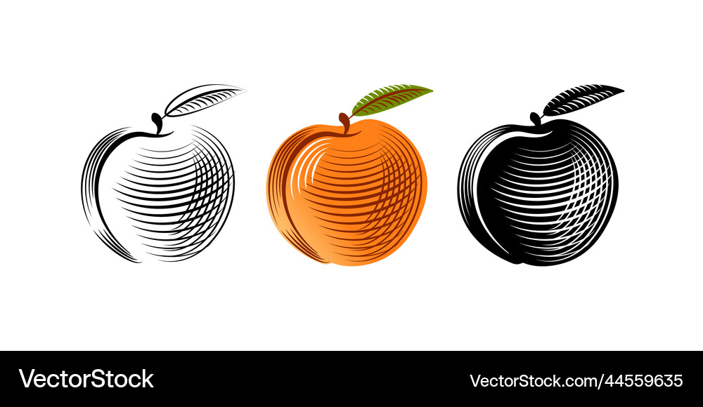 Set peaches icon peach gravure style peach Vector Image