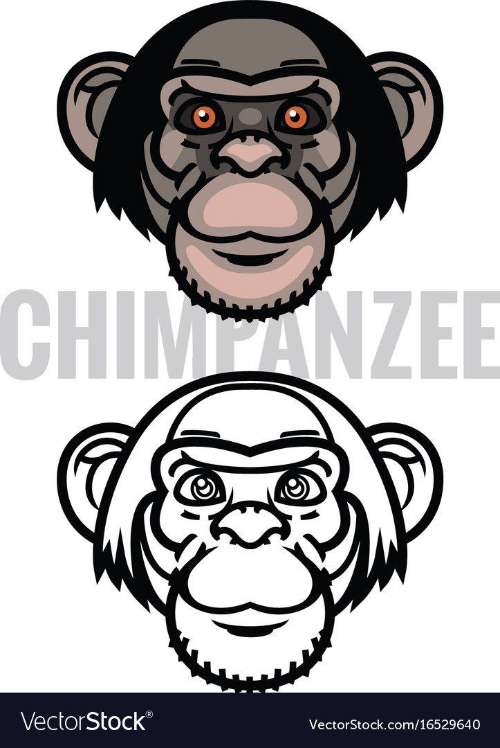 Monkey head Royalty Free Vector Image - VectorStock