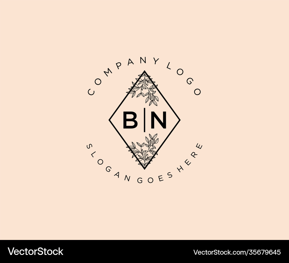 Initial bn letters beautiful floral feminine Vector Image
