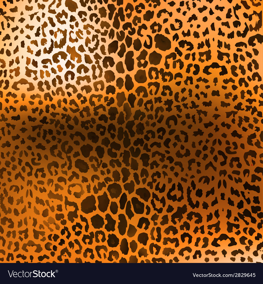 Leopard skin texture Royalty Free Vector Image