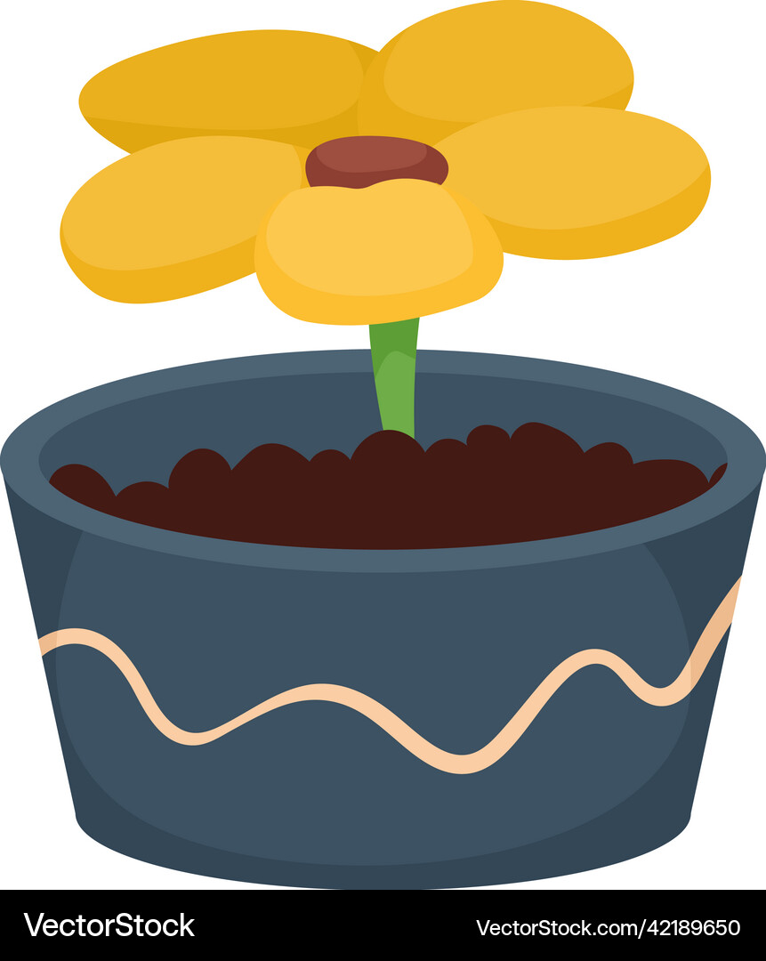 Yellow flower in pot Royalty Free Vector Image