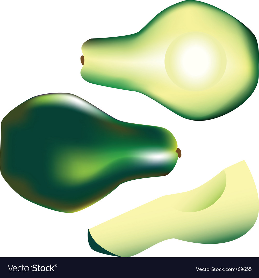 Avocado Royalty Free Vector Image - VectorStock