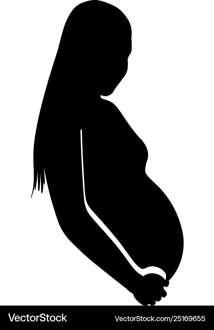 Pregnant woman Royalty Free Vector Image - VectorStock