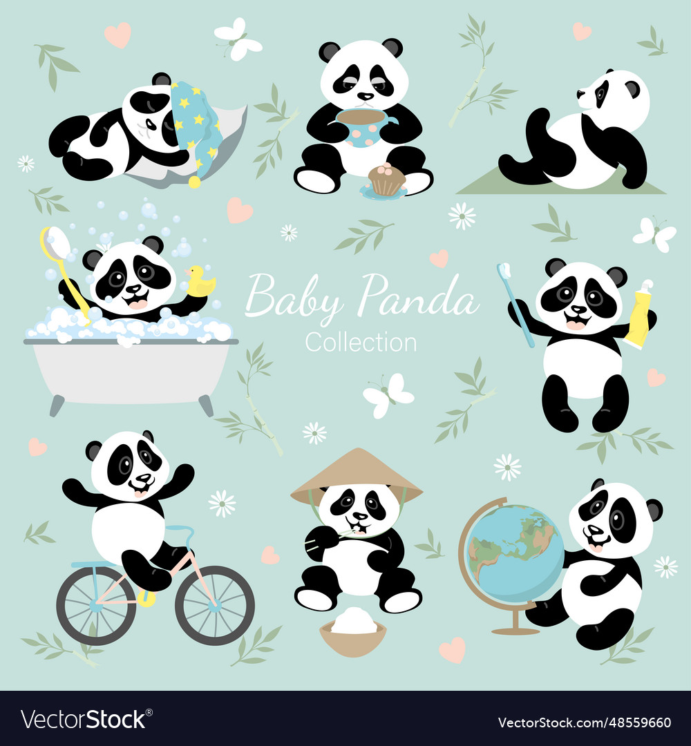 Baby panda collection Royalty Free Vector Image