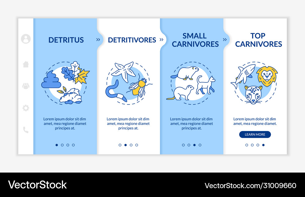Detritus food chain onboarding template Royalty Free Vector
