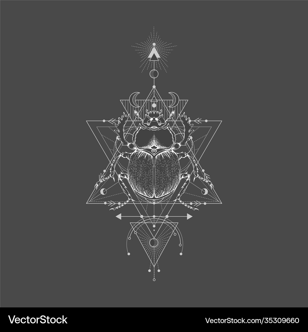Scarab and sacred symbol Royalty Free Vector Image