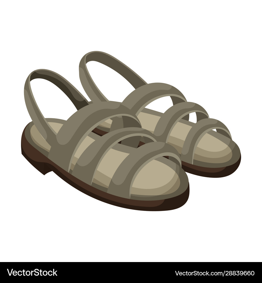 Summer sandal iconcartoon icon Royalty Free Vector Image