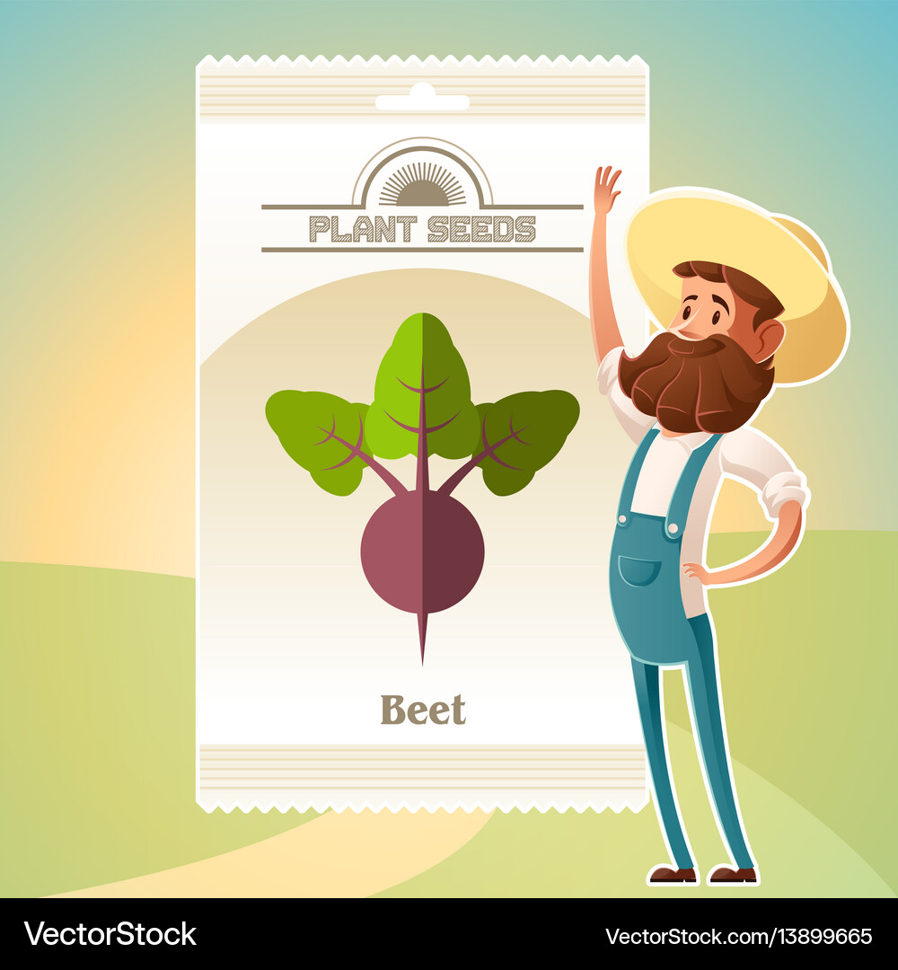 Pack of beet seeds icons Royalty Free Vector Image