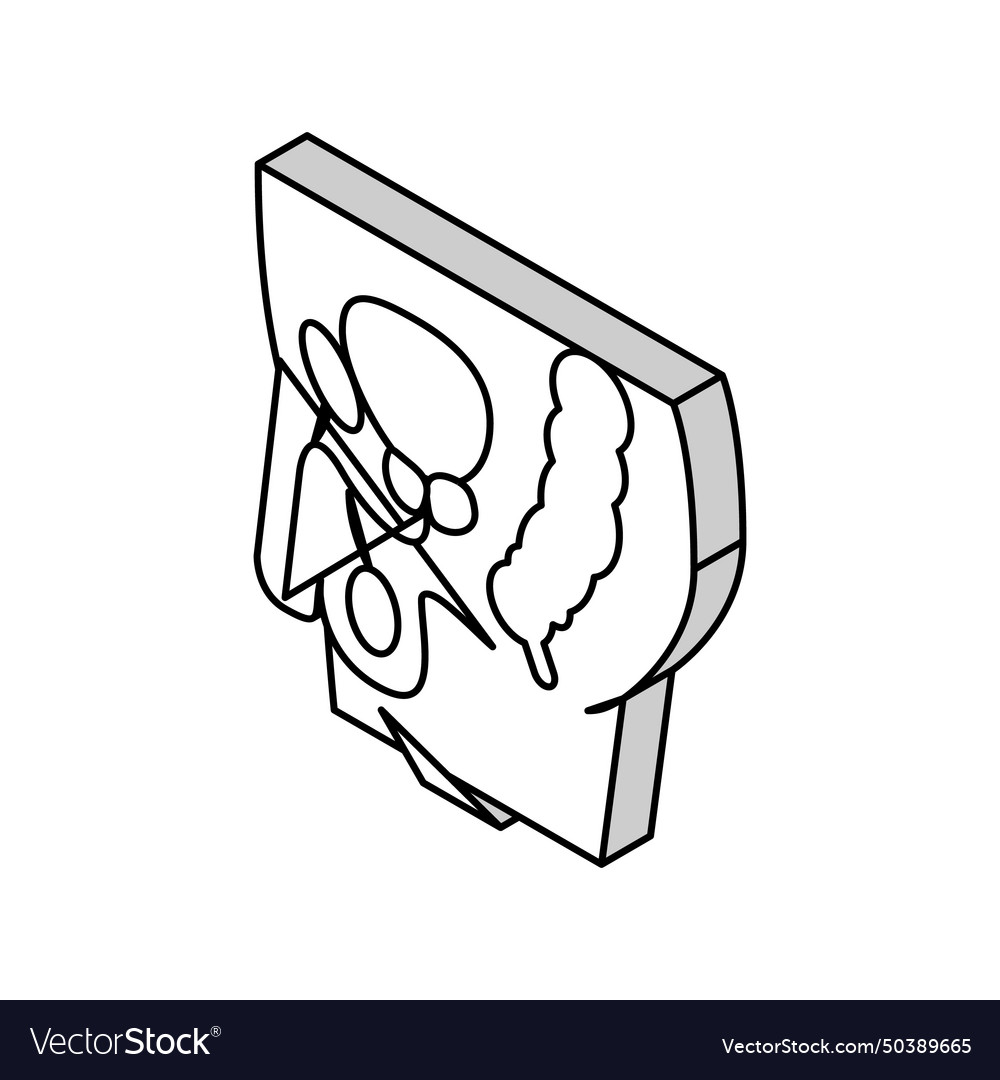Testes endocrinology isometric icon Royalty Free Vector Testes endocrinology isometric icon Royalty Free Vector