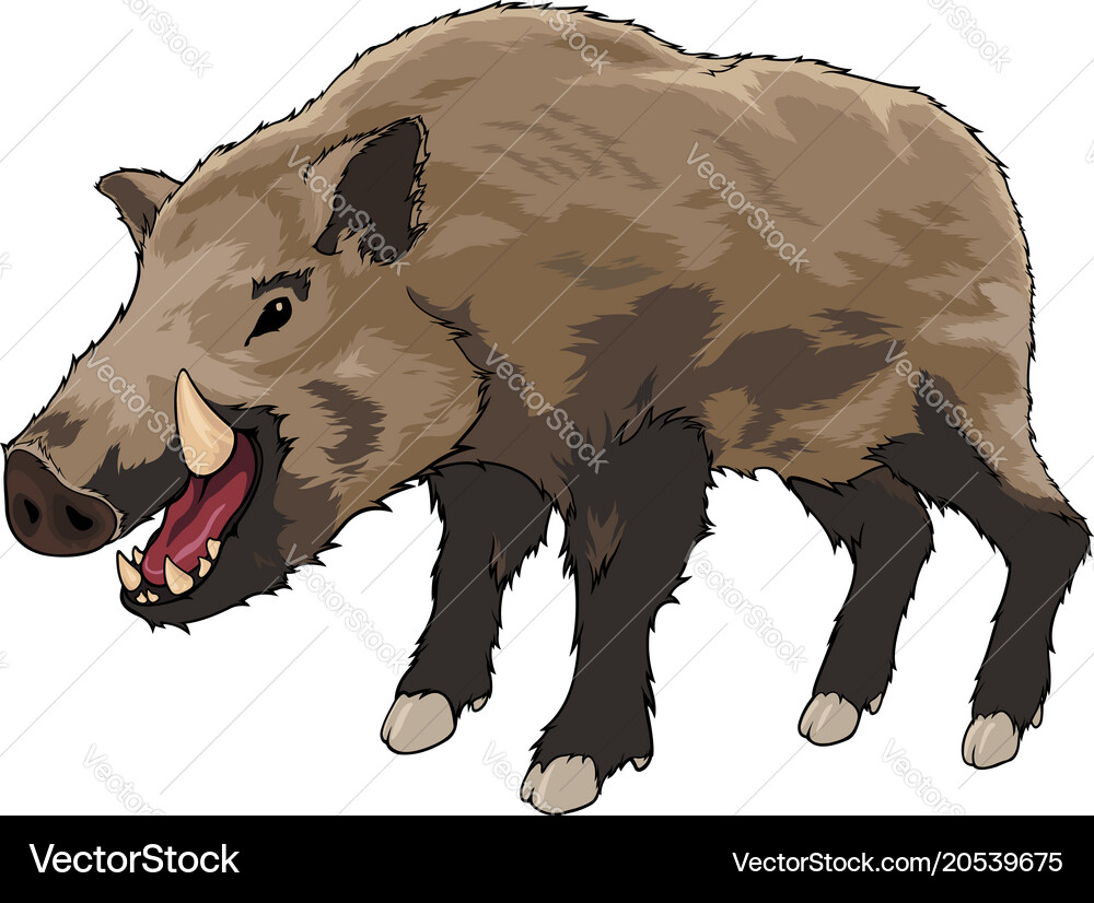 Cartoon brown boar Royalty Free Vector Image - VectorStock