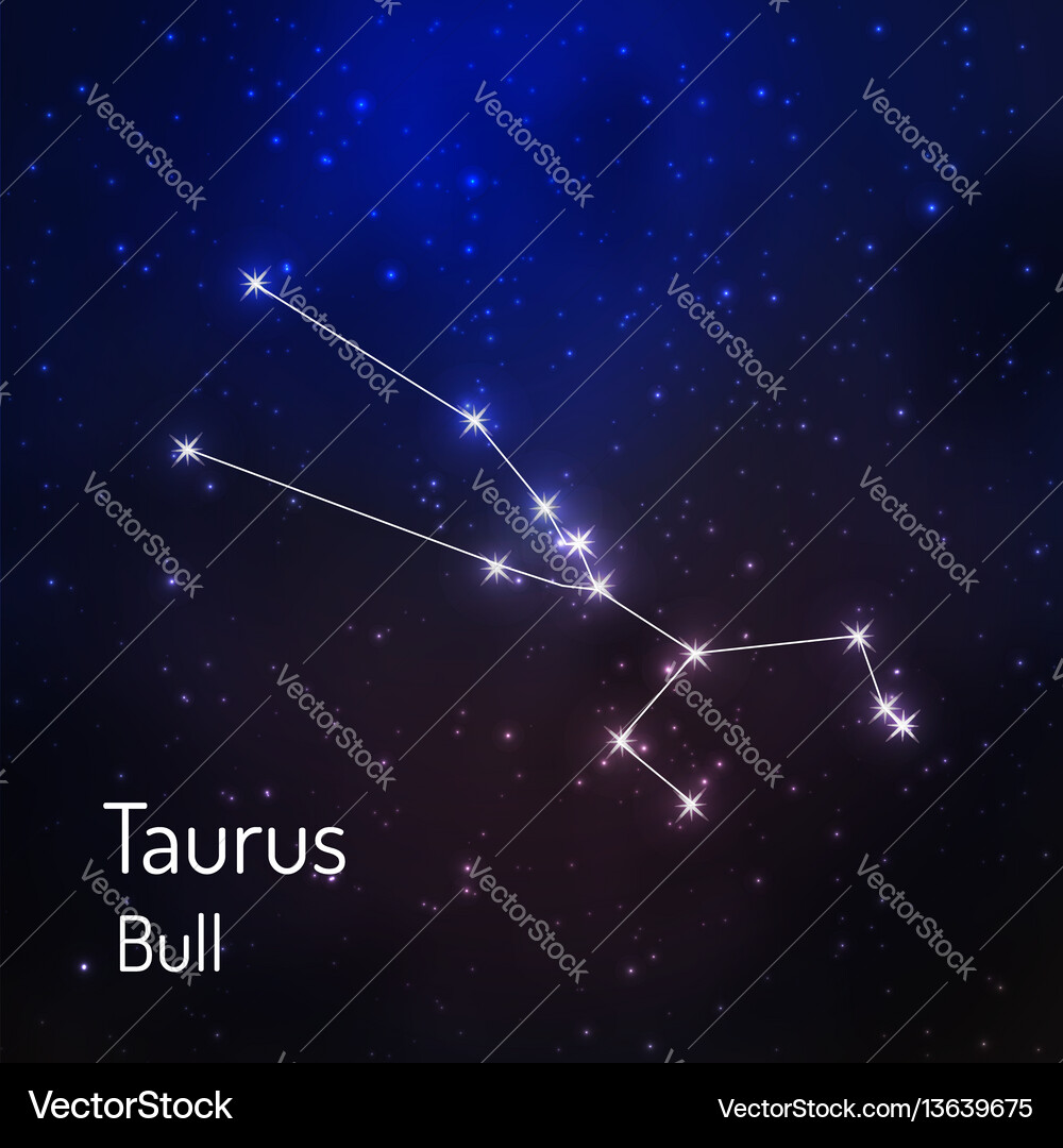 Constellation in the night starry sky Royalty Free Vector