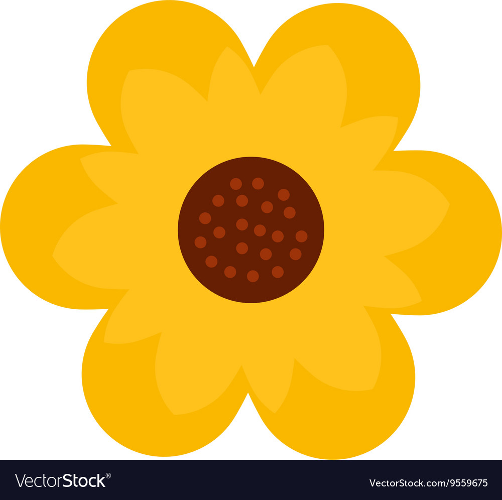 Daisy Royalty Free Vector Image - VectorStock