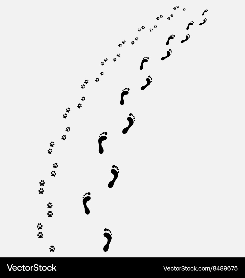 Footprints of man and dog Royalty Free Vector Image
