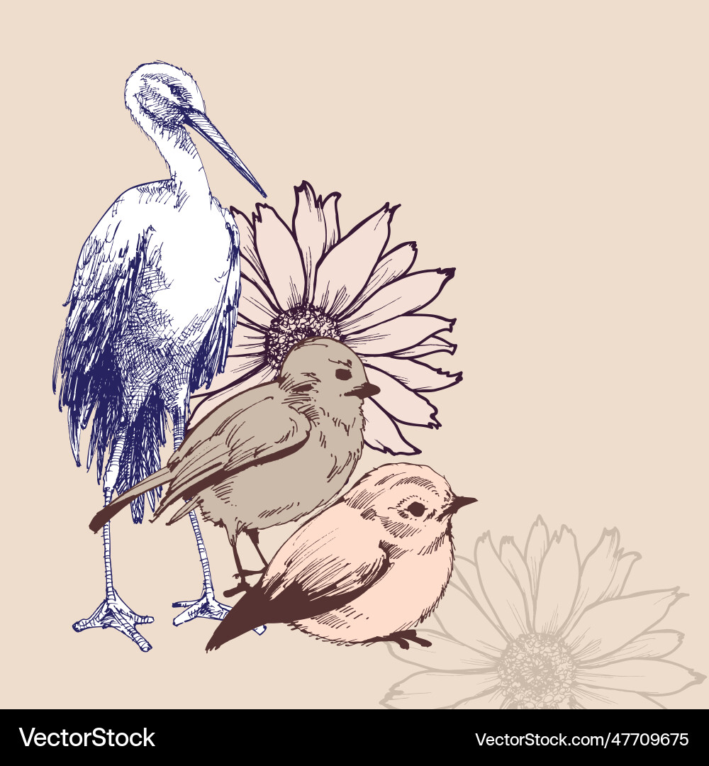 Spring birds sparrows and stork floral design Vector Image