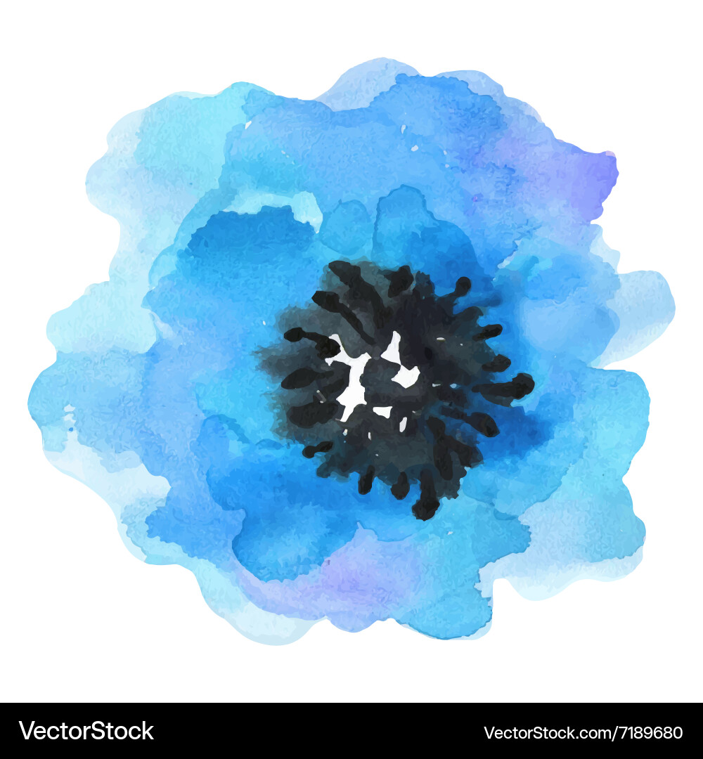 Watercolor blue flower on a white Royalty Free Vector Image