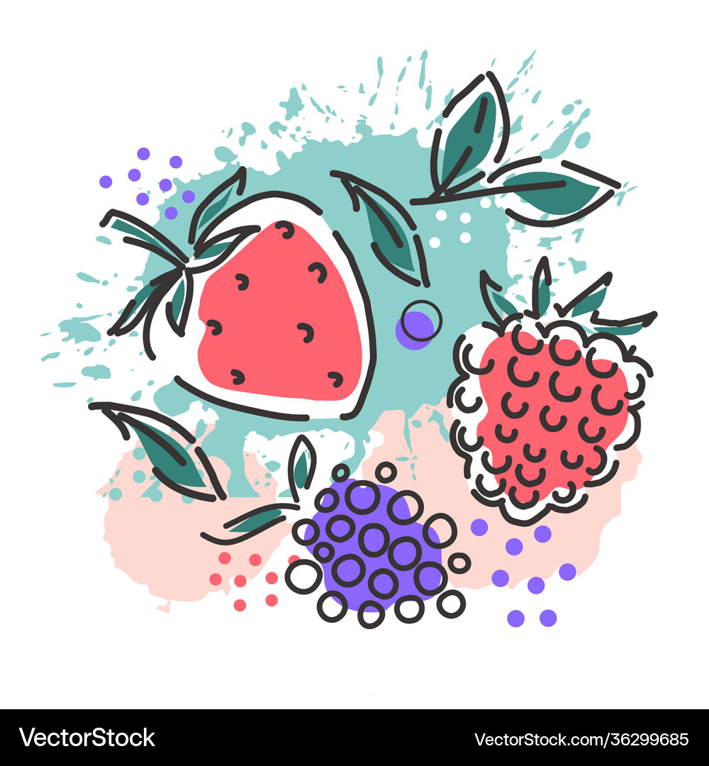 Berries raspberries blackberries strawberries Vector Image