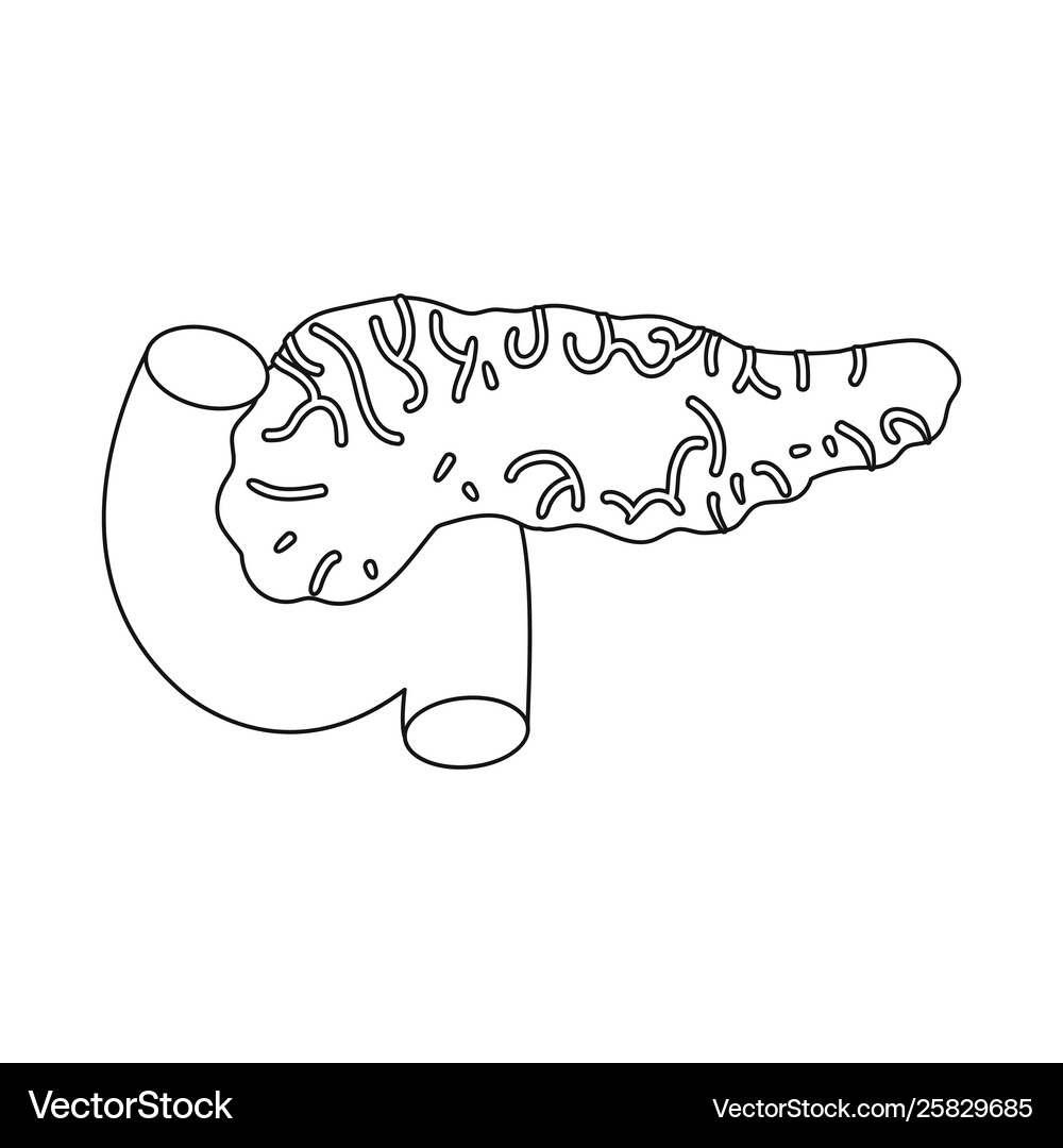 Pancreas and organ logo Royalty Free Vector Image