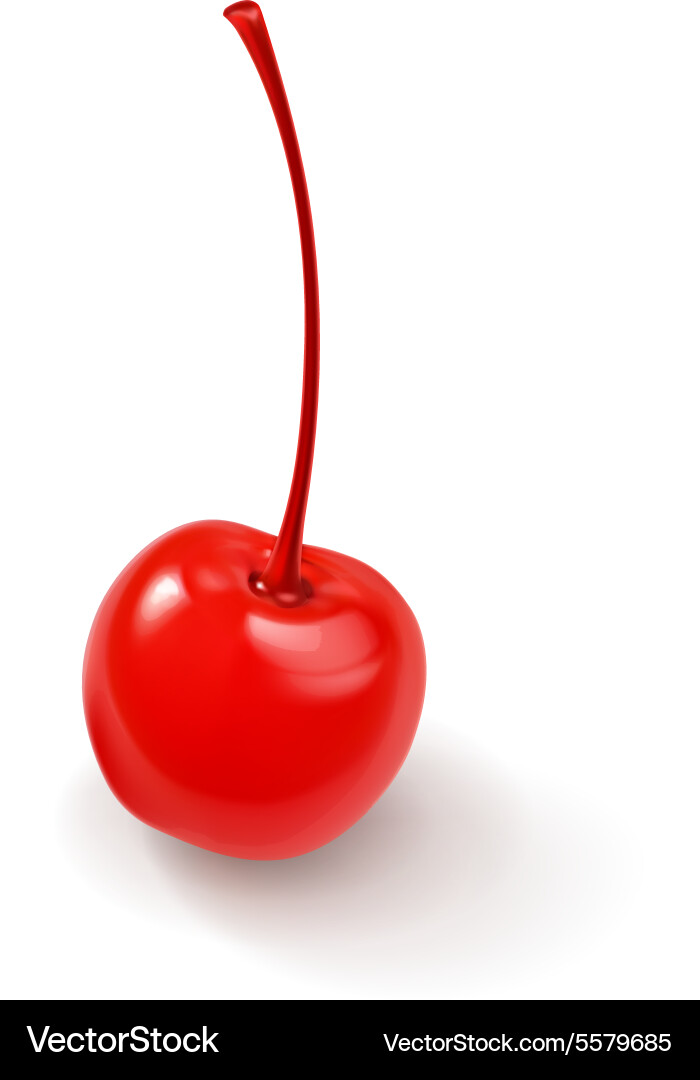 Sweet cherry for cocktails icon Royalty Free Vector Image
