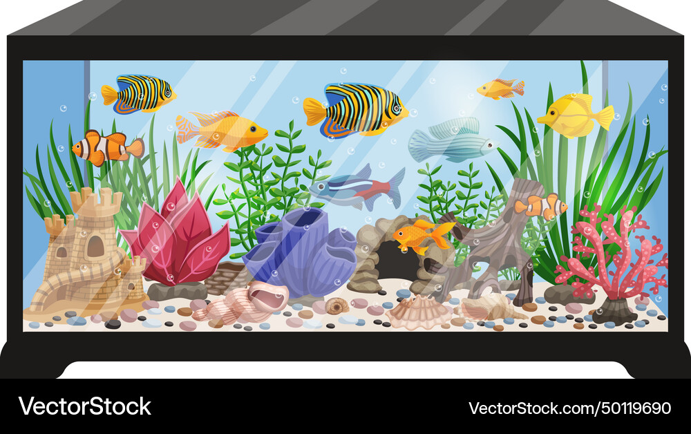Aquarium tank cartoon Royalty Free Vector Image