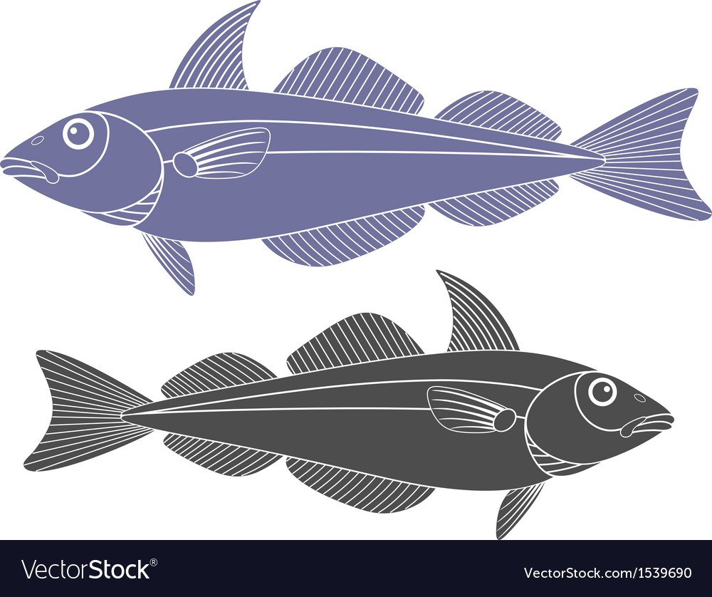 Haddock Royalty Free Vector Image - VectorStock